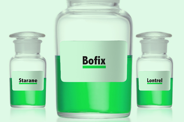 Herbicidy – selektivní